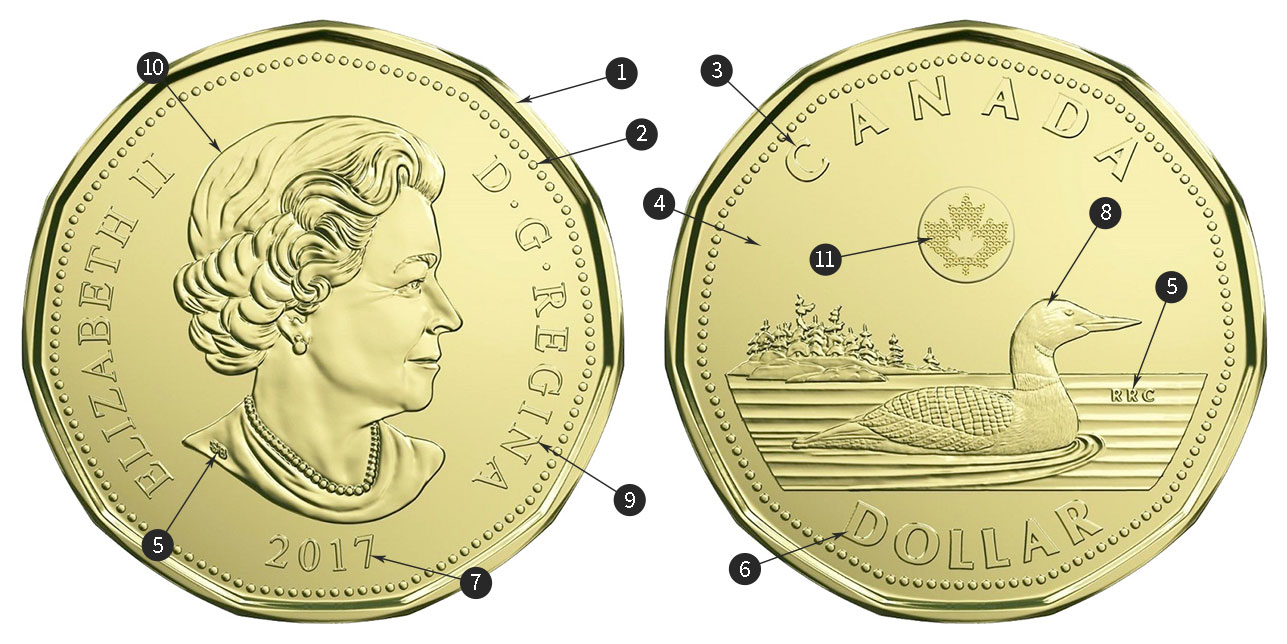 Anatomy Of Canadian Coins Common Numismatic Terms Coins Unlimited